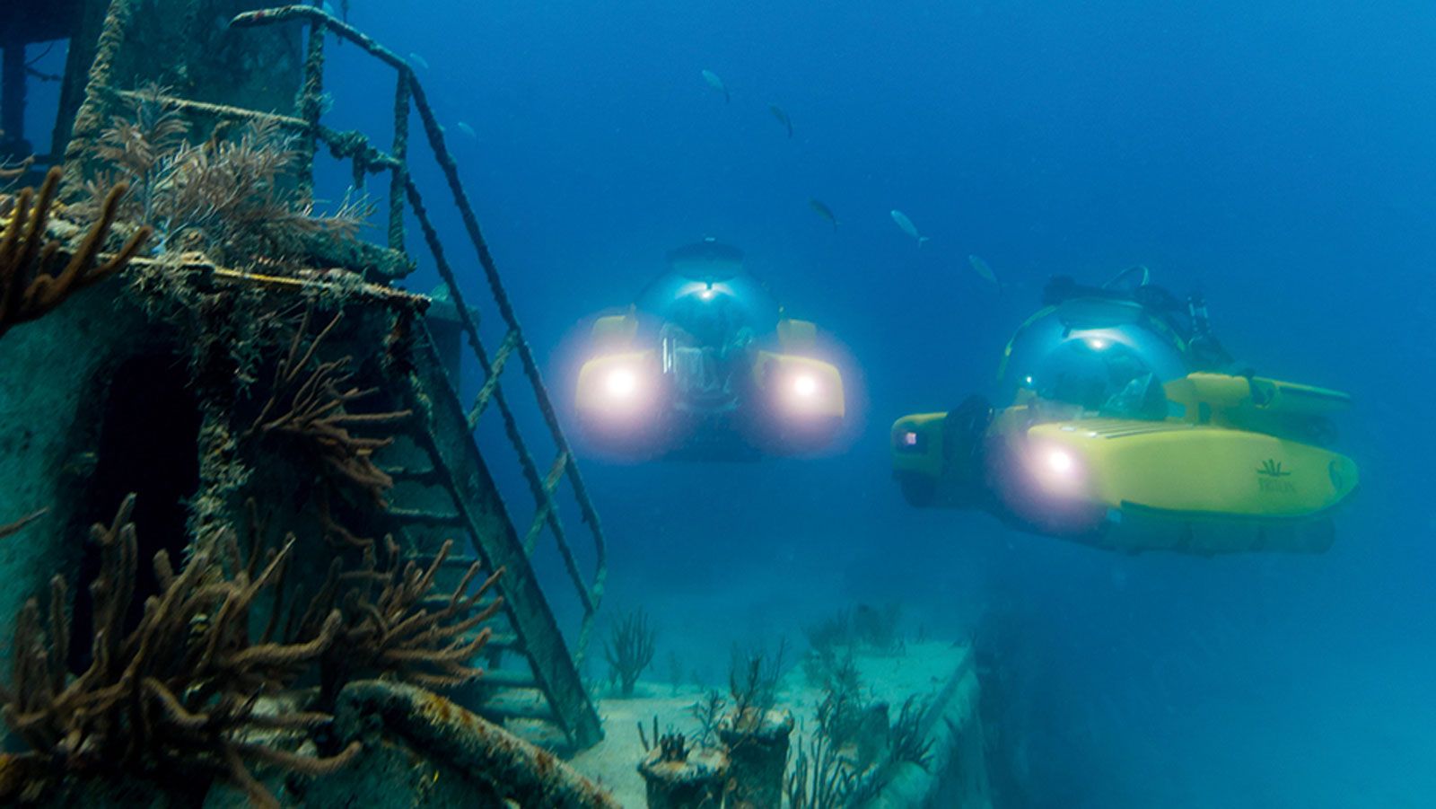 Meet the adventurers scouring the sea for long lost treasures